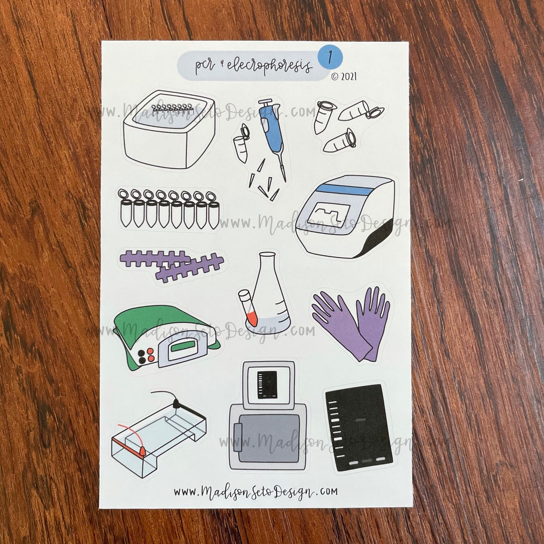 PCR & Electrophoresis - Paper Sticker Sheet - Etsy