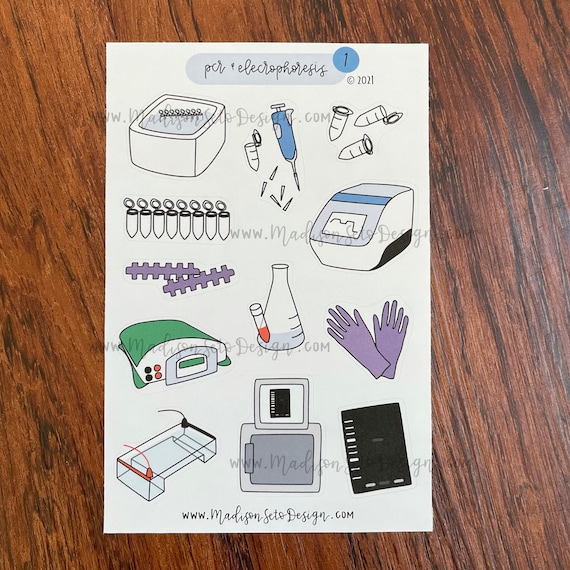 PCR & Electrophoresis Paper Sticker Sheet - Etsy