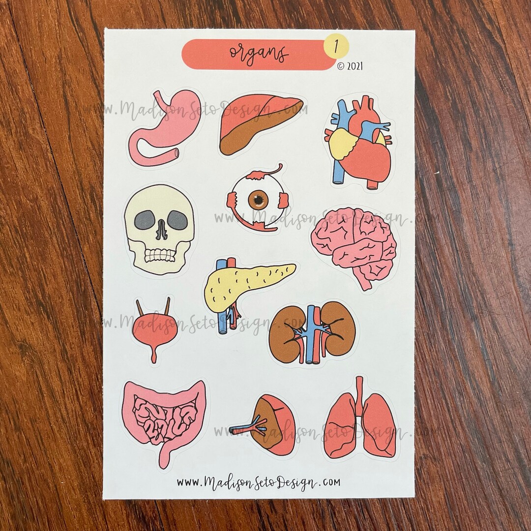 Organs - Paper Sticker Sheet - Etsy