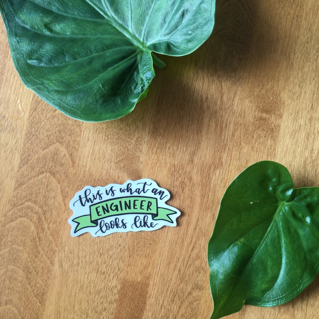 This is What an Engineer Looks Like - Vinyl Sticker - Etsy