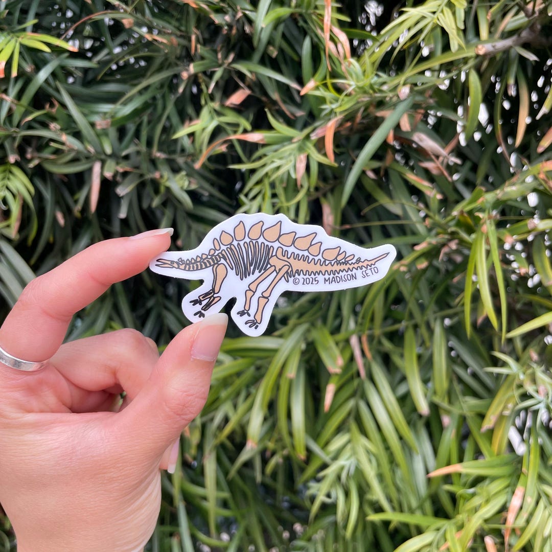 Stegosaurus Fossil - Vinyl Sticker - Etsy