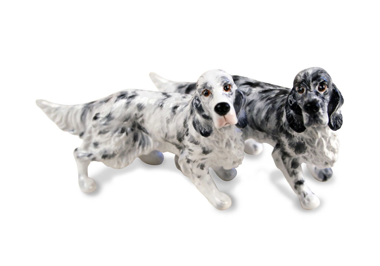 Miniature English Setter