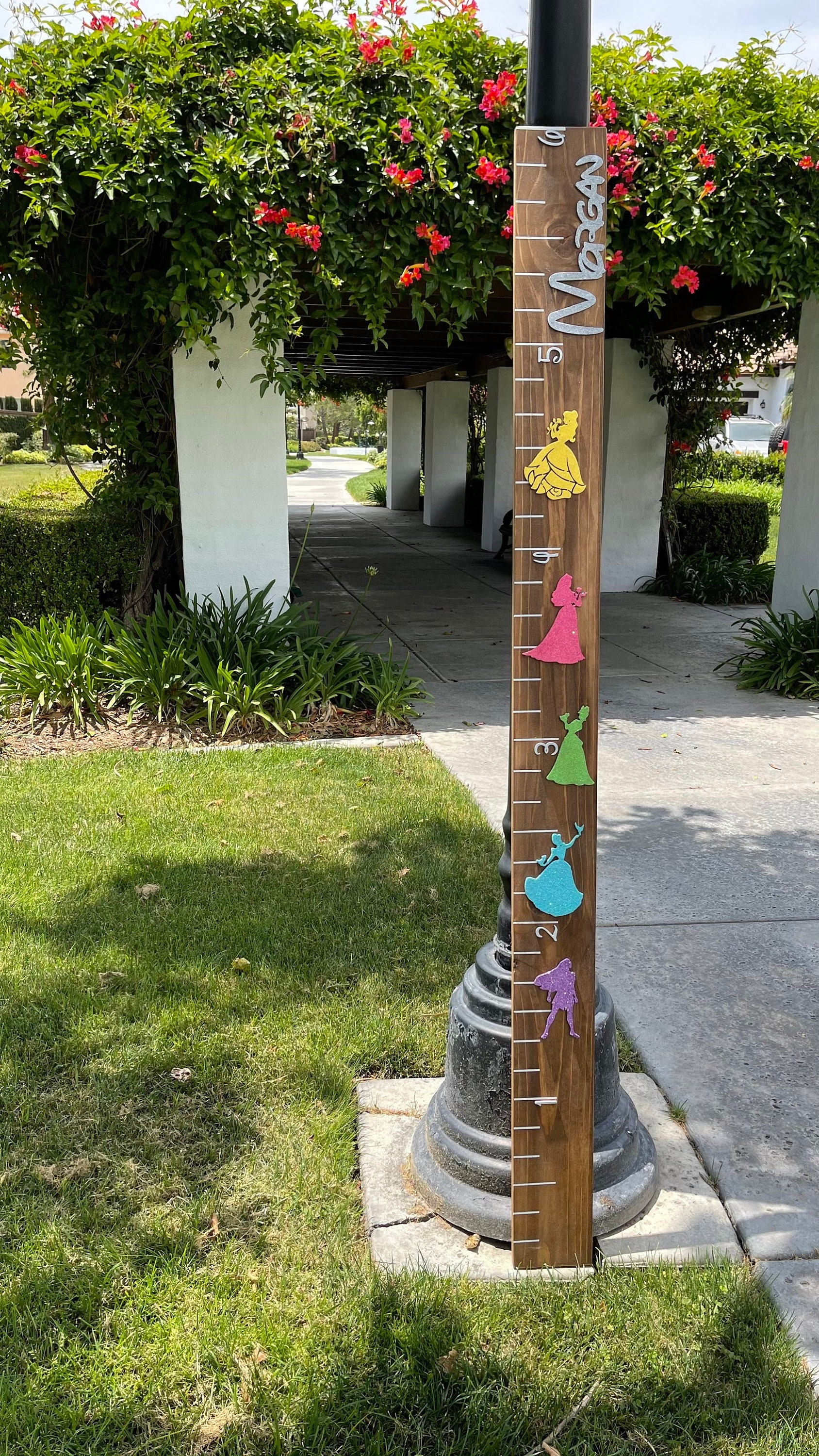 Pretty Princess Edition Growth Chart Disney Inspired Ruler - Etsy