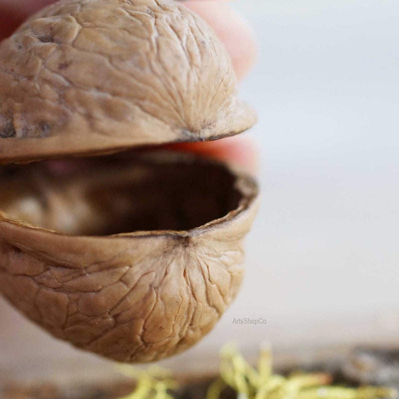 Walnut Shells - Etsy