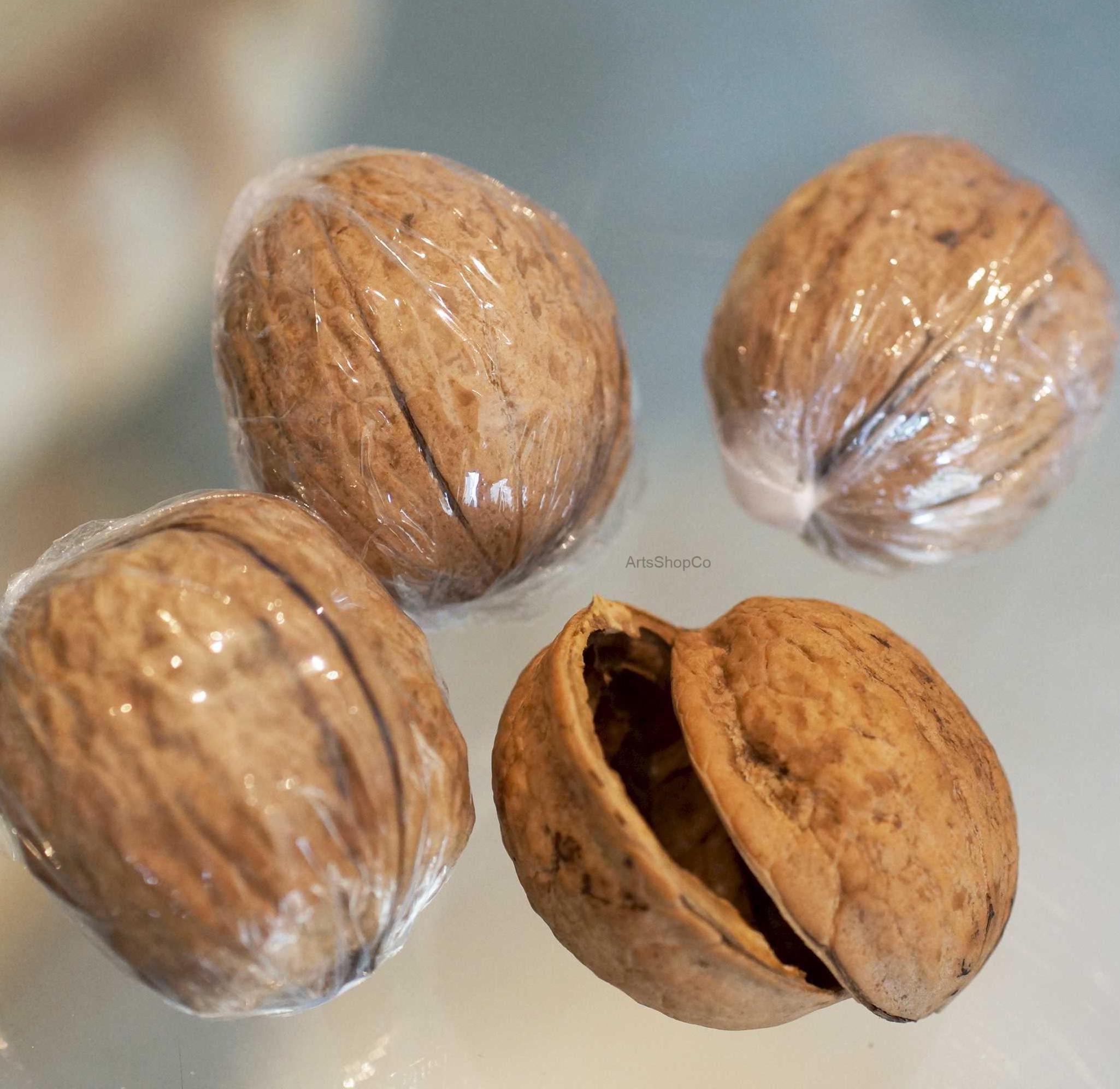12, 24 Narrow Walnut Shells in Pairs for Miniature Boats DIY Project ...