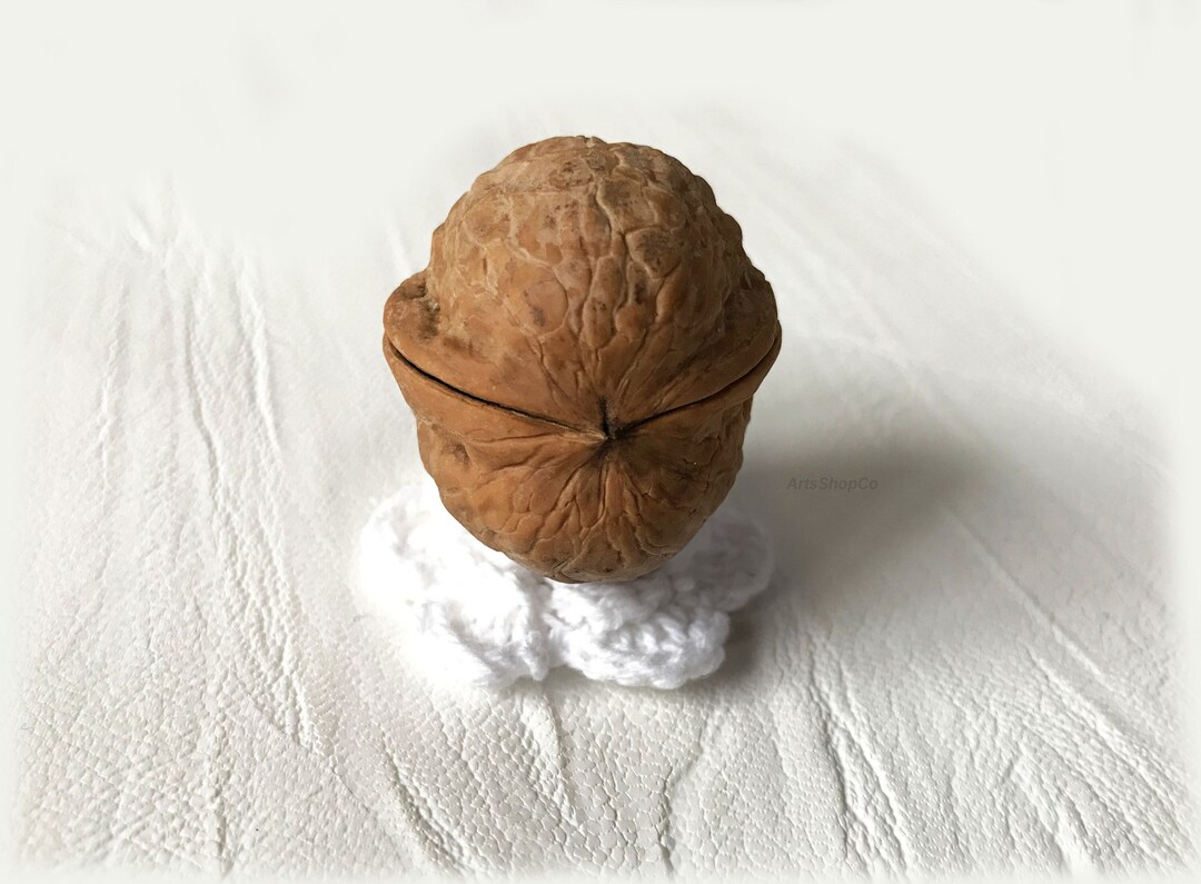 Natural Walnut Shell Jewelry Box, Wedding Proposal, One of a Kind Ring ...