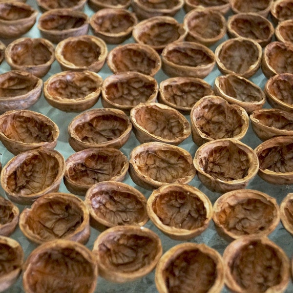 Walnut Shell - Etsy