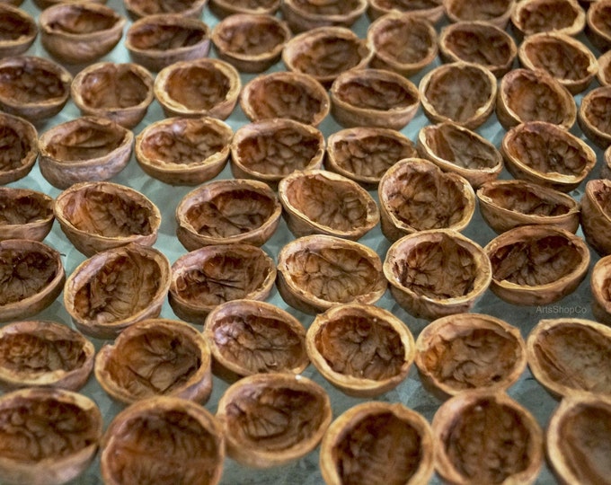 Walnut Shells Halves Empty Walnut Shells to Use as Craft - Etsy