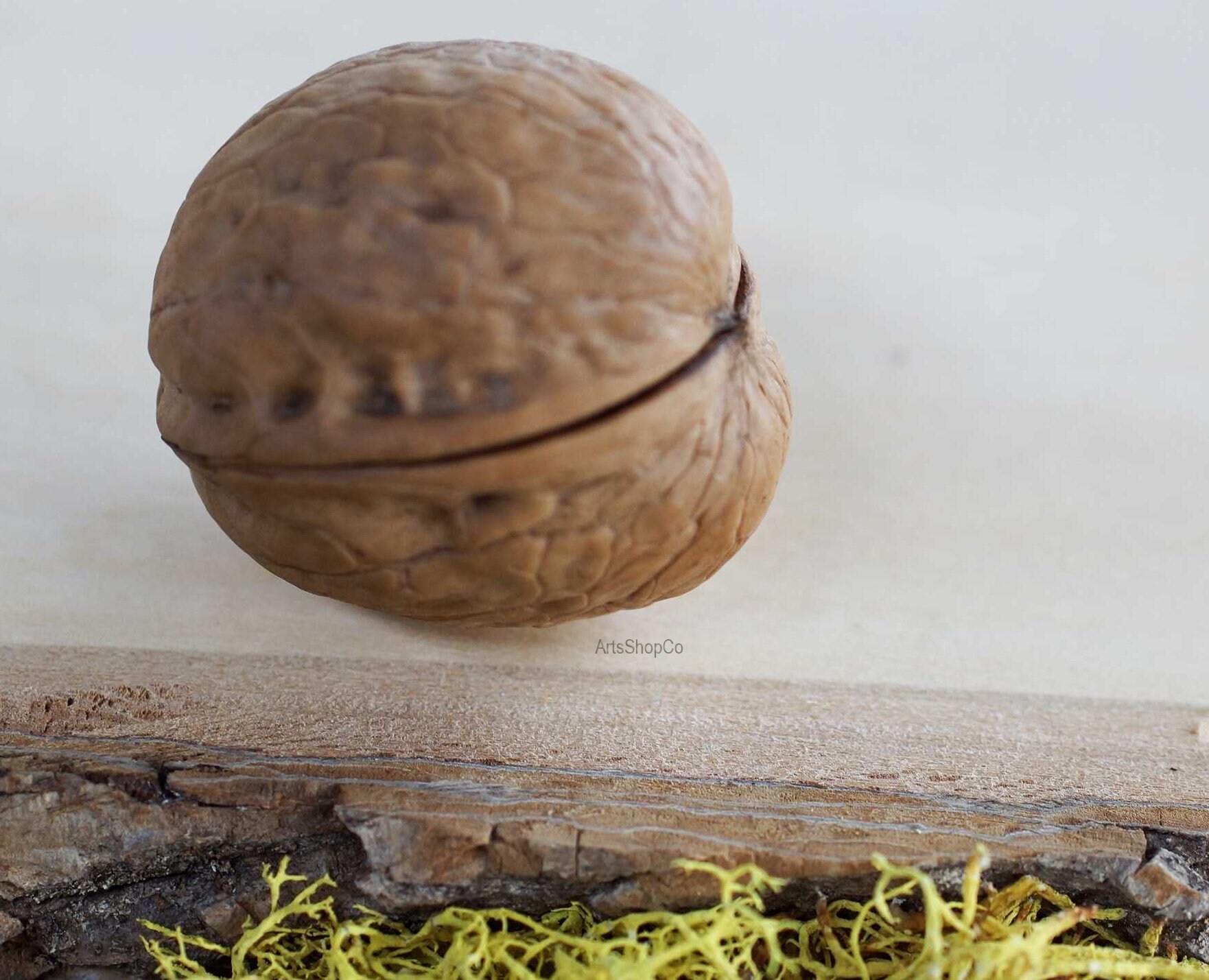 Natural Walnut Shells for Boxes Empty Walnut Shell Halves in | Etsy