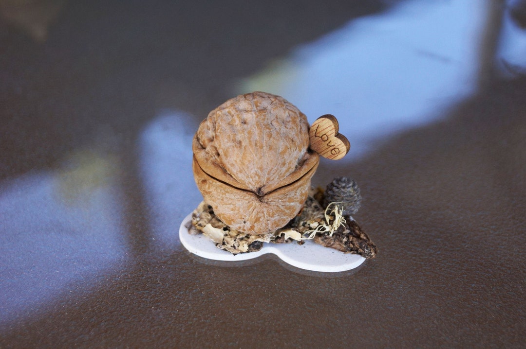 Natural Walnut Shell Jewelry Box, Unique One of a Kind Friendship, Love ...