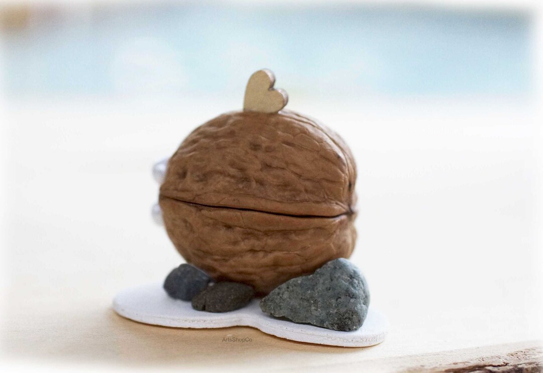 Natural Walnut Shell Jewelry Box, Walnut Box With White Heart, Wood ...