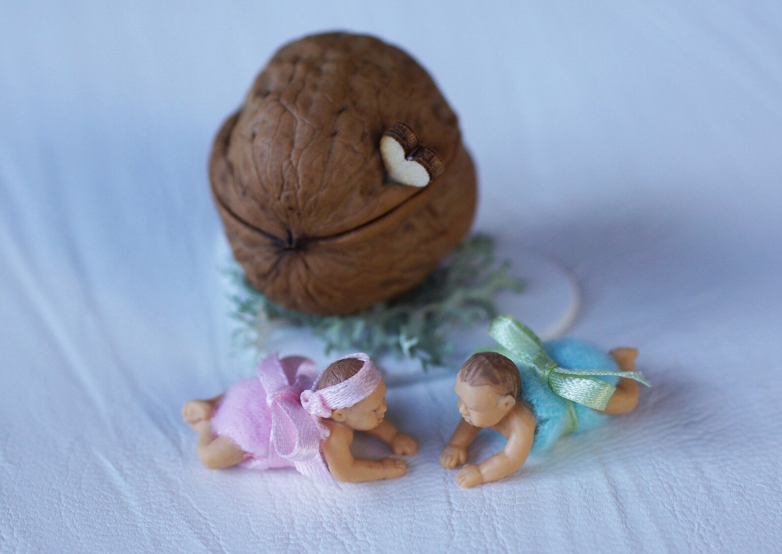 Baby in Natural Walnut Shell Box Baby Girl Baby Boy | Etsy