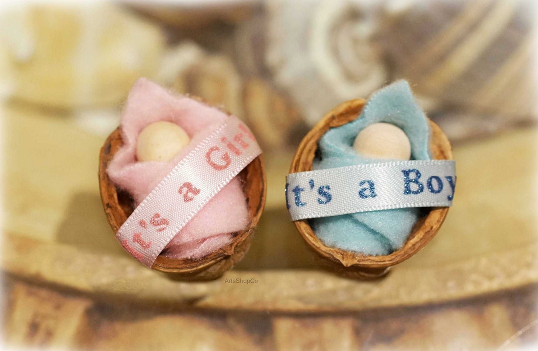 Baby in Natural Walnut Shell Baby Girl & Baby Boy in Blanket - Etsy