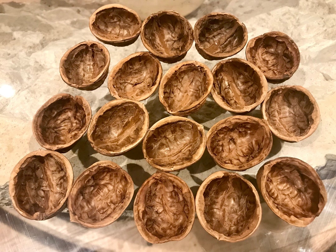 Walnut Shell Halves 1.5 1.6 Inch Natural Arts & Crafts Supply, Walnut ...