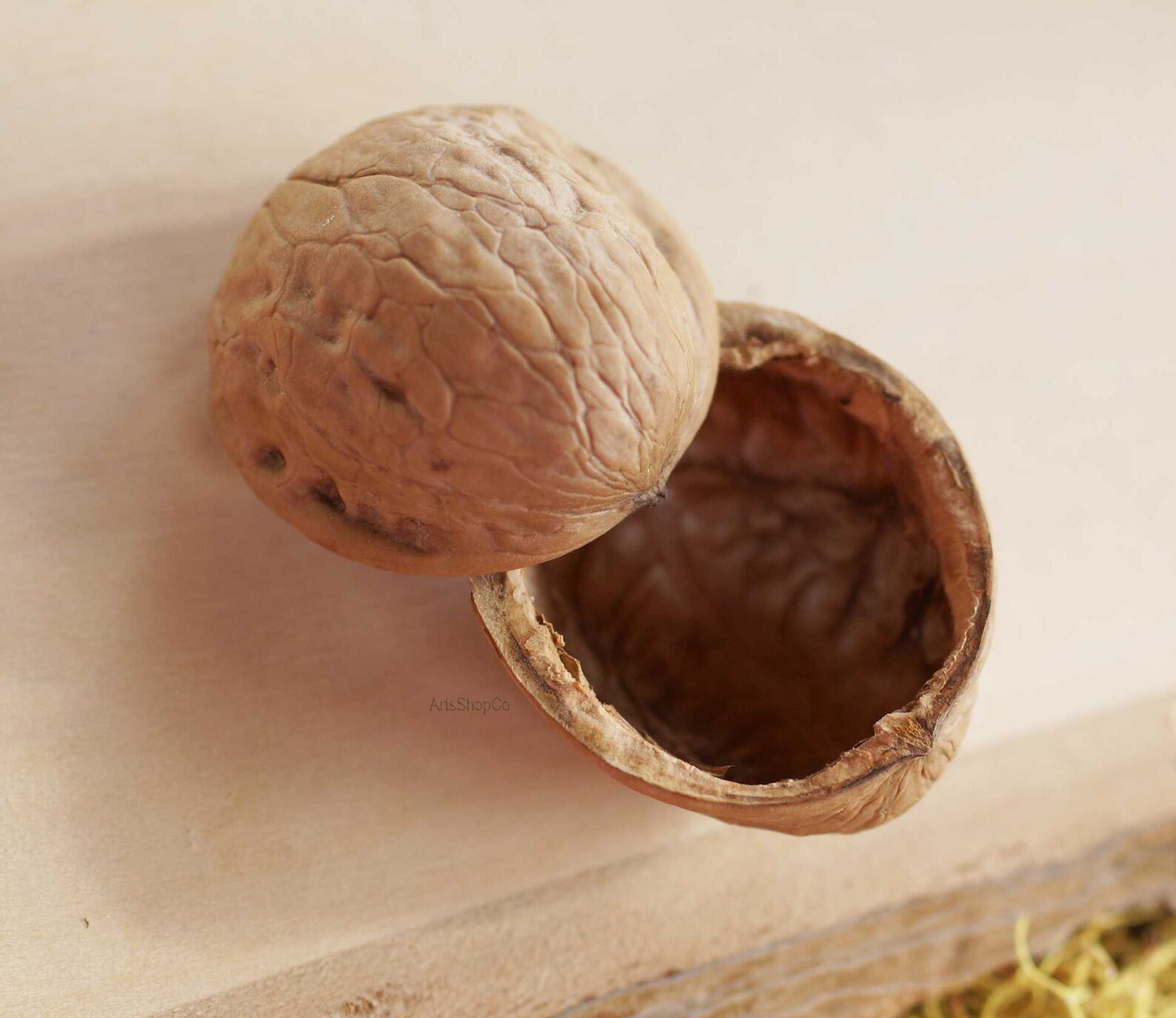 Natural Walnut Shells for Boxes Empty Walnut Shell Halves in | Etsy