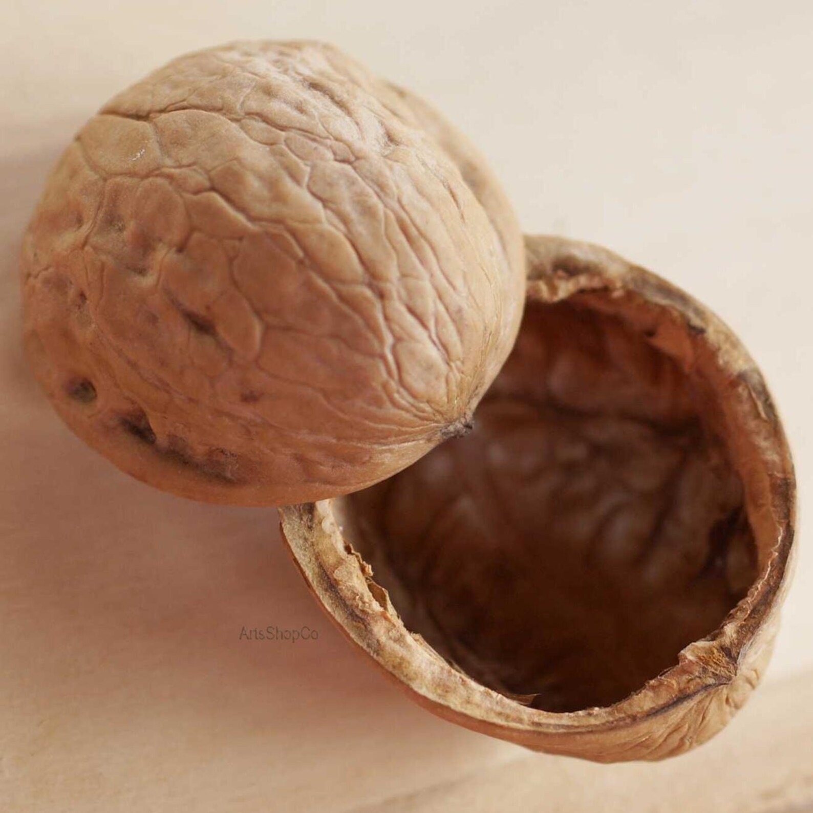 Natural Walnut Shells for Boxes, Empty Shell Halves in Pairs, Unique ...