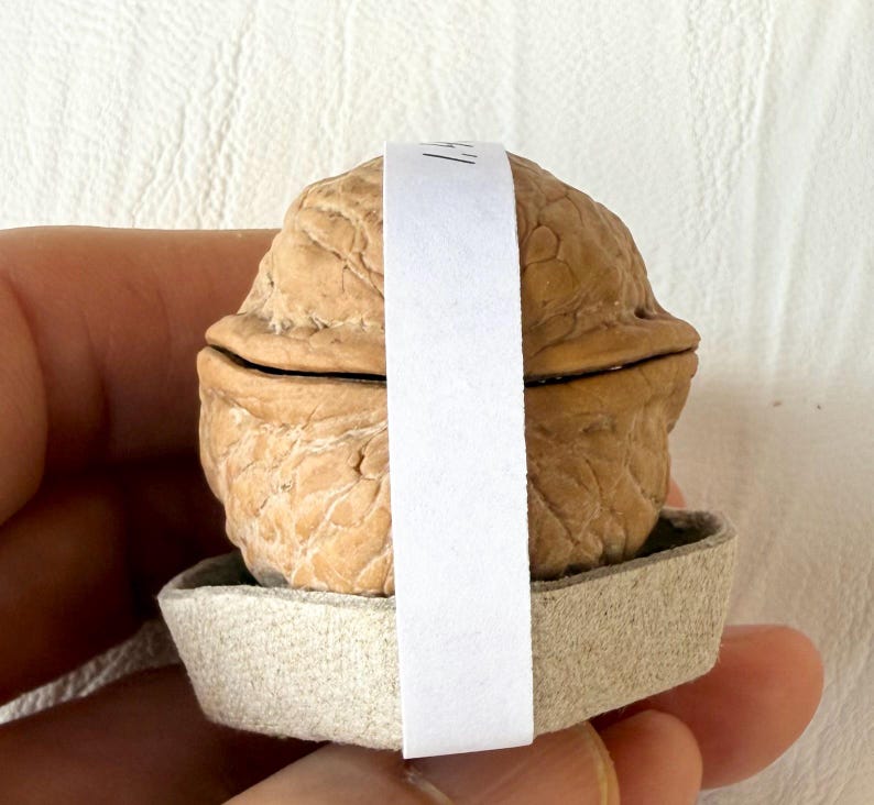 Natural Walnut Shells for Boxes, Empty Shell Halves in Pairs, Unique ...