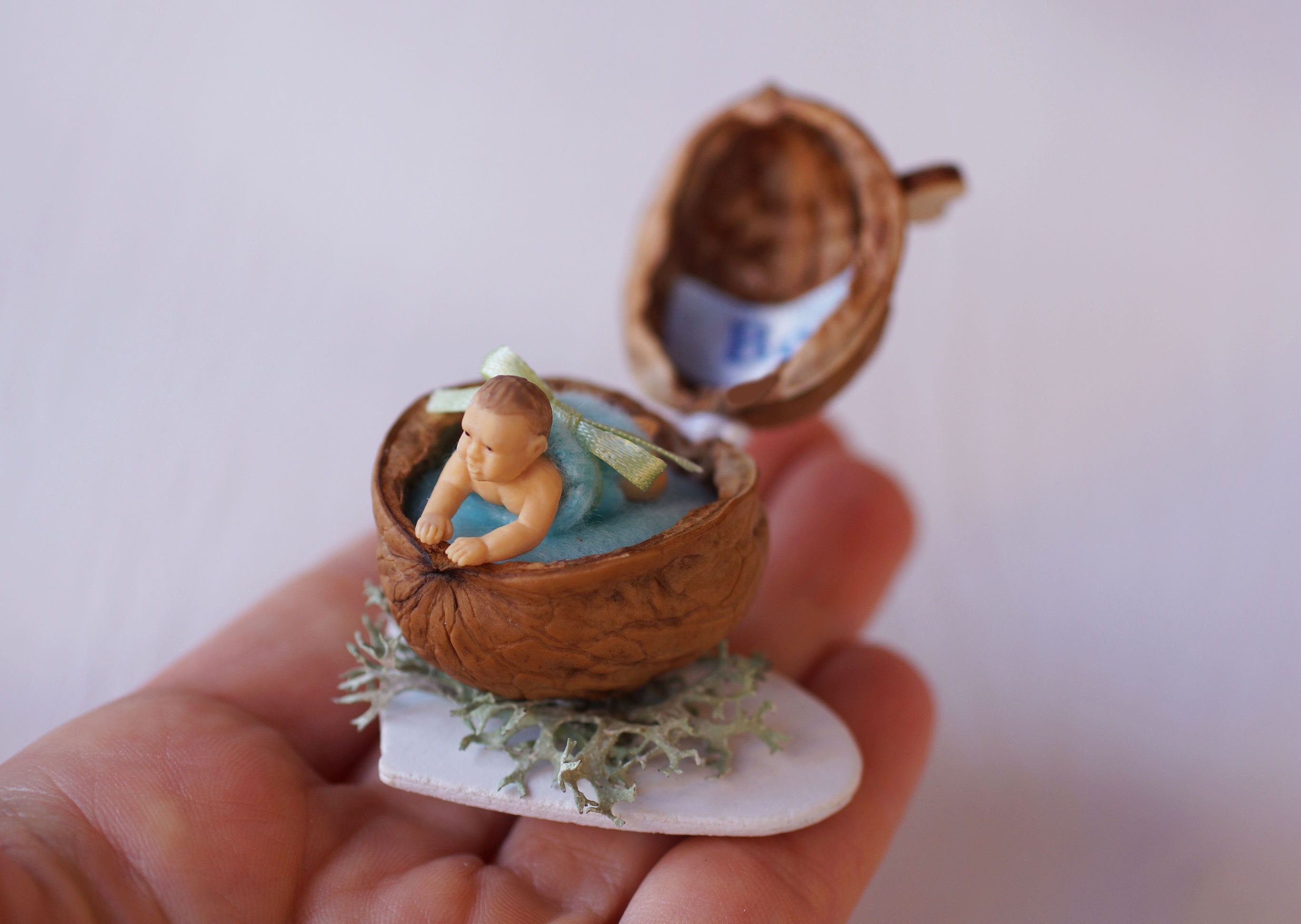 Baby in Natural Walnut Shell Box Baby Girl Baby Boy | Etsy