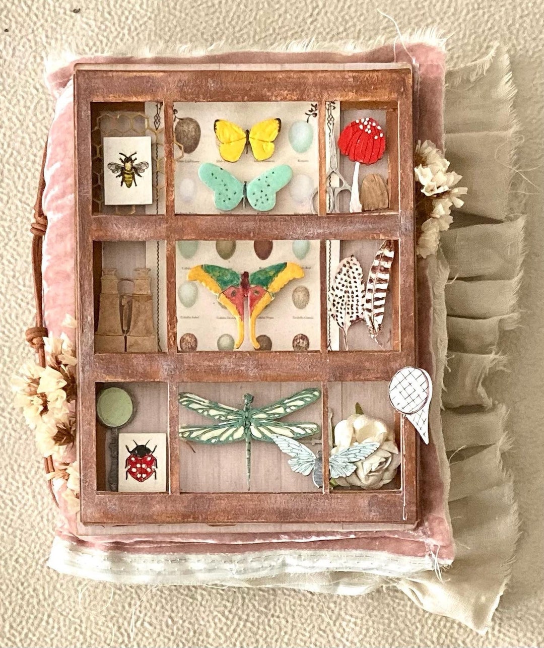 Nature Curiosities Box. Mystery Cabinet Craft Kit. Laser Cut Nature ...