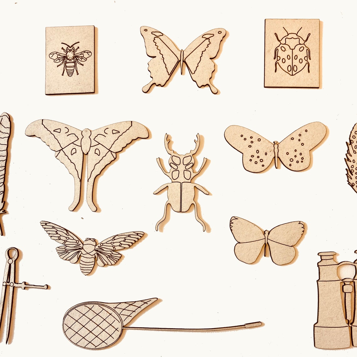 Nature Curiosities Box. Mystery Cabinet Craft Kit. Laser Cut - Etsy