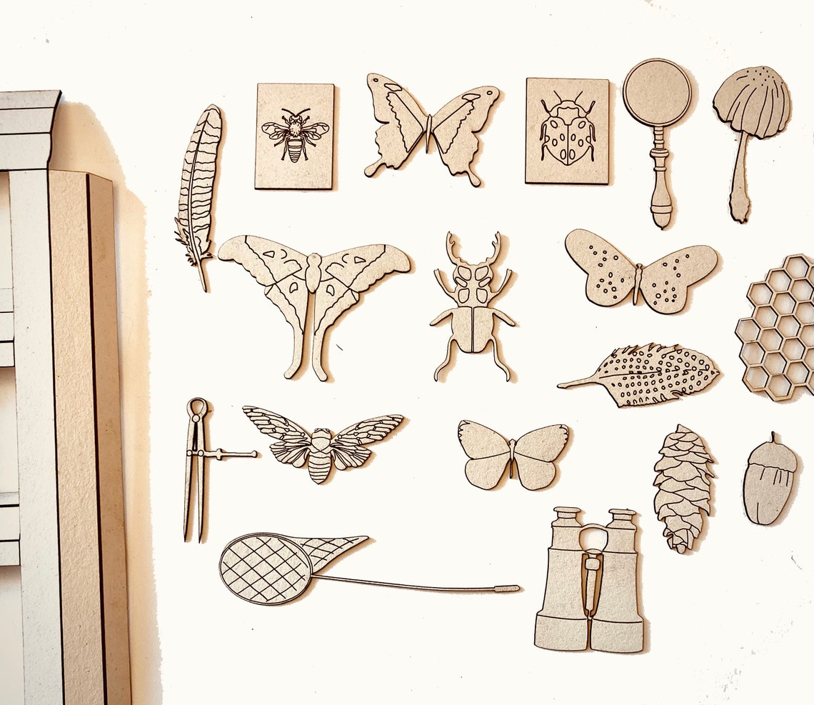 Nature Curiosities Box. Mystery Cabinet Craft Kit. Laser Cut - Etsy