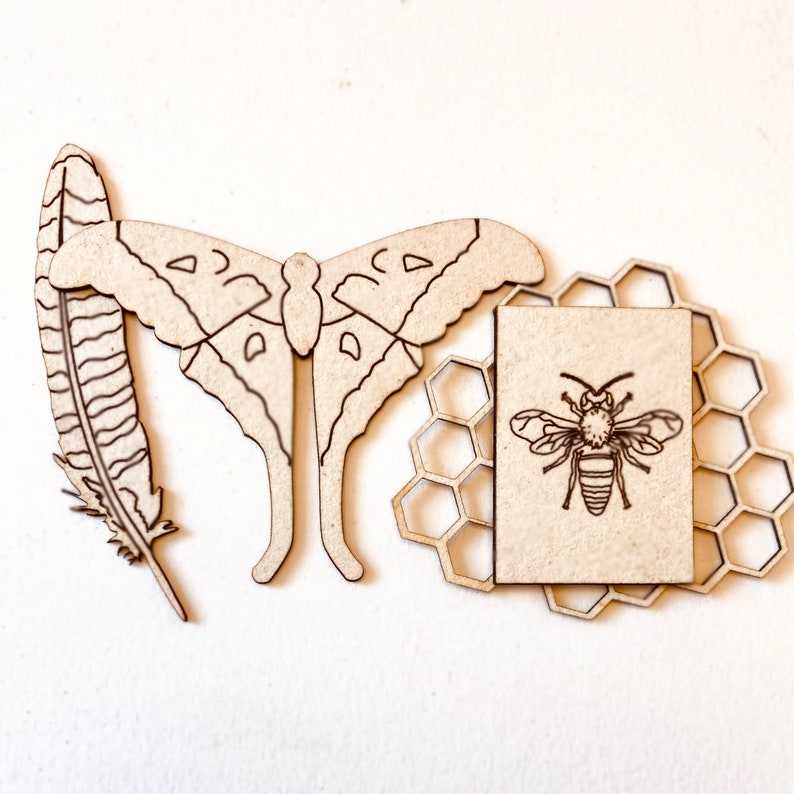 Nature Curiosities Box. Mystery Cabinet Craft Kit. Laser Cut - Etsy