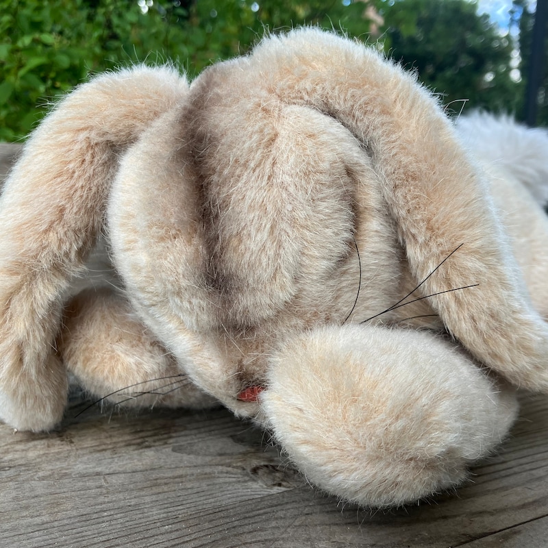 Steiff ohr knopf - Etsy.de