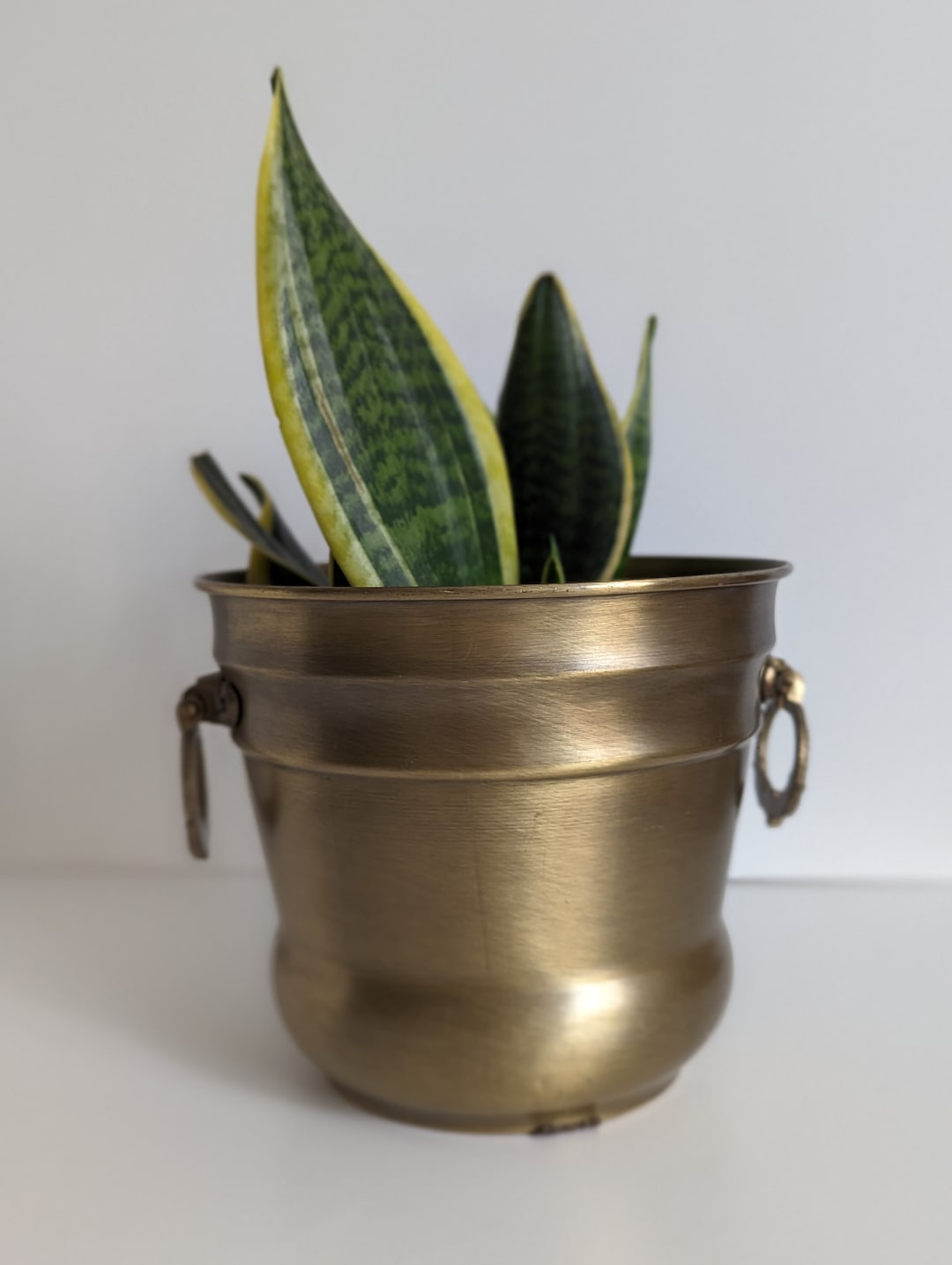 Large Brass Flower Pot Large Metal Vintage Planter With - Etsy