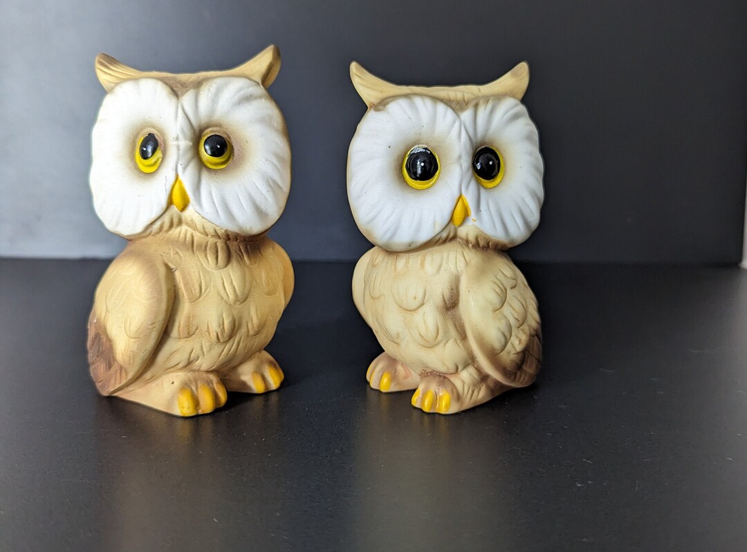Pair of Vintage Bisque Owl Figurines, Collectible Owl Statues With Big ...