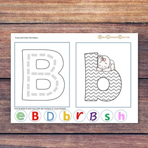 Alphabet Learning Workbook. Mega Pack ABC Homeschooling Activity ...