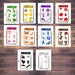 Toddler Learning Binder. Toddler Learning Activities. Pre-k - Etsy