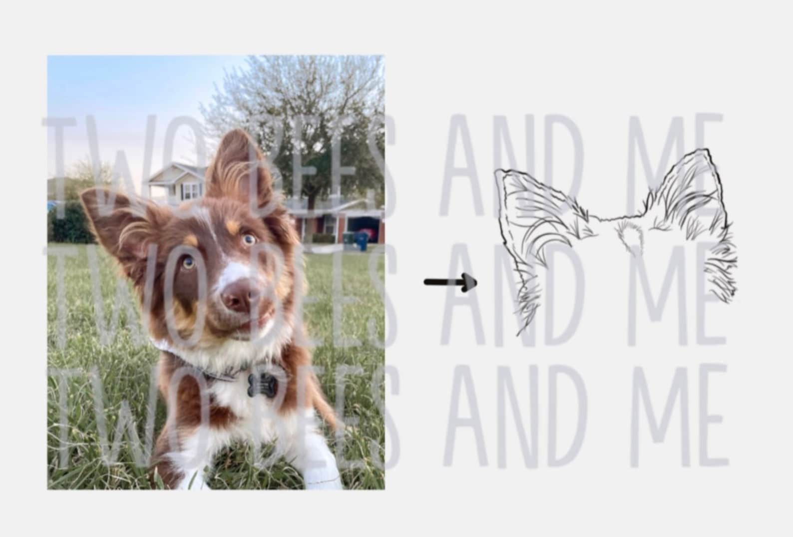 Custom Dog/pet Ear Outline Portrait Dog Ear Tattoo Pet - Etsy