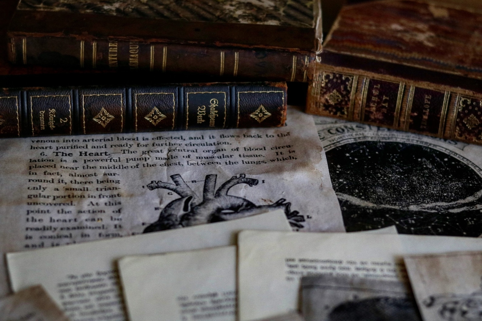 DARK ACADEMIA Junk Journal Kit Journal Kit for Beginners in Journaling ...