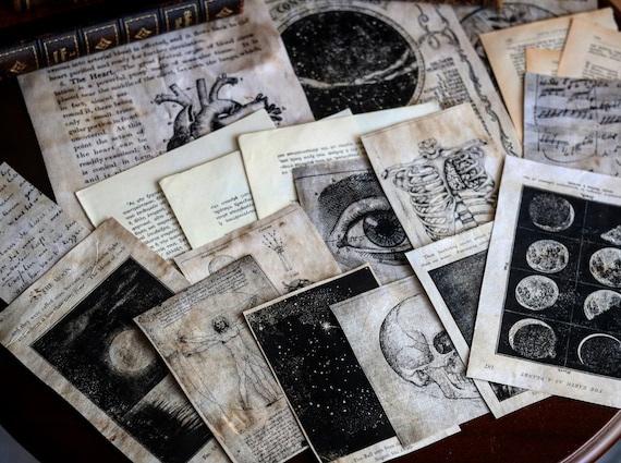 Dark Academia Junk Journal Kit Journal Kit for Beginners in | Etsy