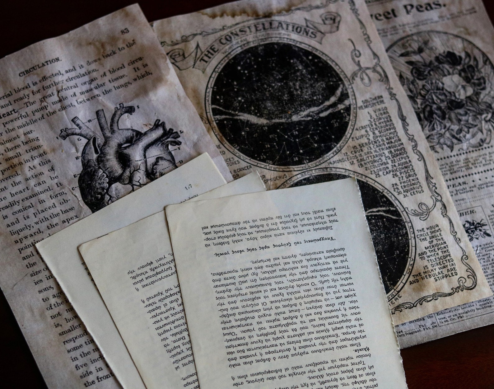 DARK ACADEMIA Junk Journal Kit Journal Kit for Beginners in Journaling ...