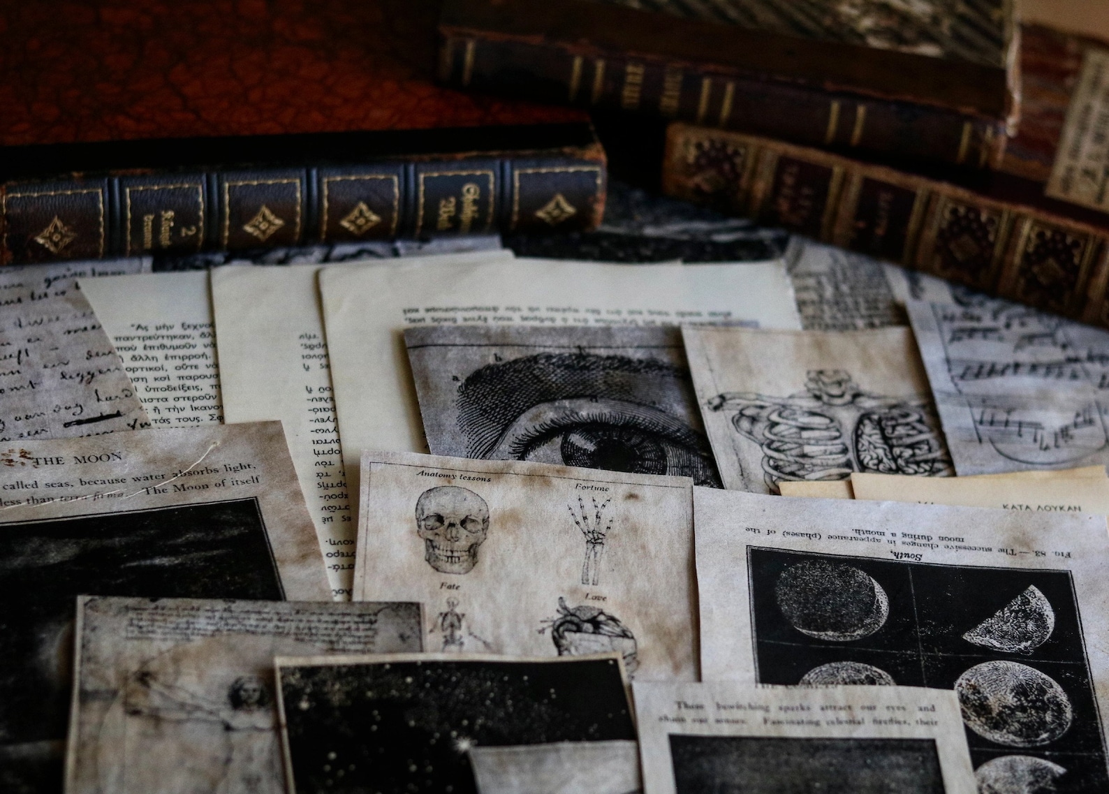 DARK ACADEMIA Junk Journal Kit Journal Kit for Beginners in Journaling ...