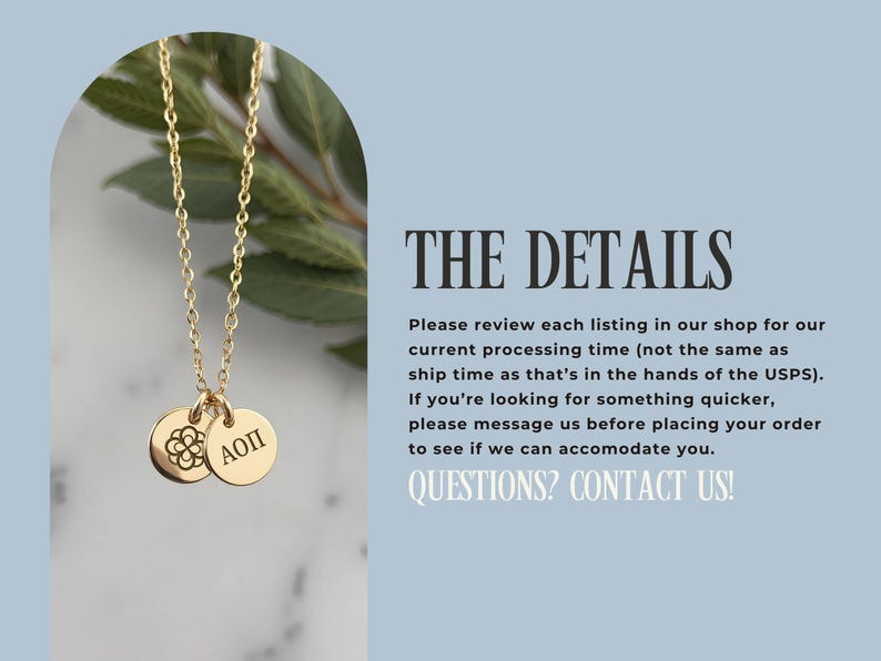 Alpha Omicron Pi - Necklace – Double Disc – Infinity Rose Charm ...