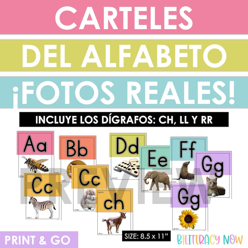 Spanish Alphabet - Etsy