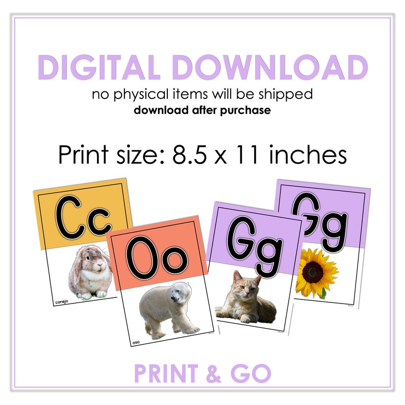 Spanish Alphabet Chart With Real Photos (PDF) - Etsy