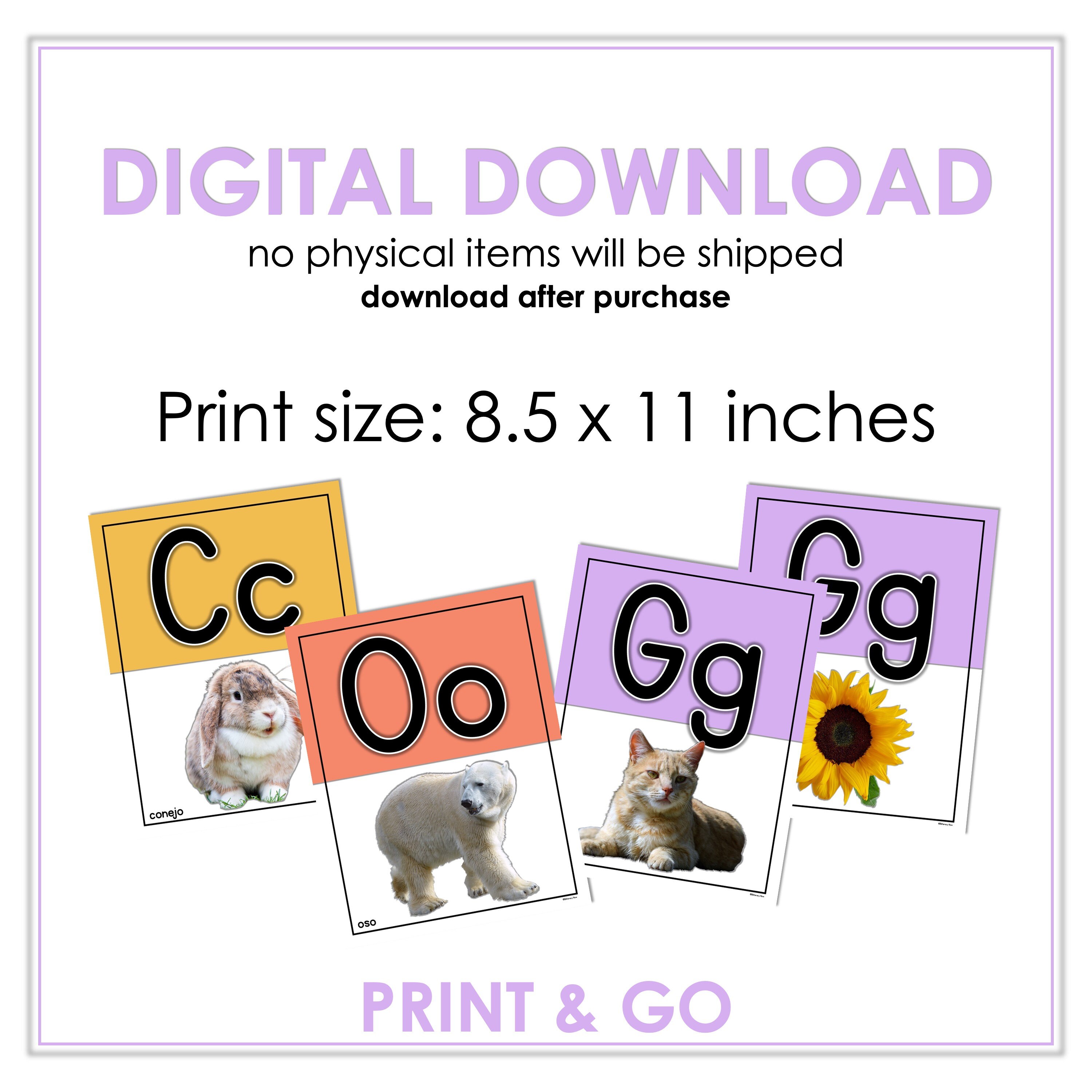 Spanish Alphabet With Real Phots Spanish Alphabet Chart Alfabeto Con ...