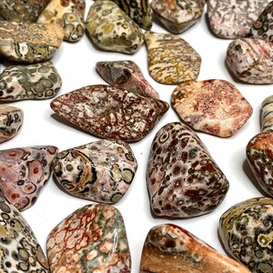 Leopardskin Jasper Tumbled Stones | Etsy