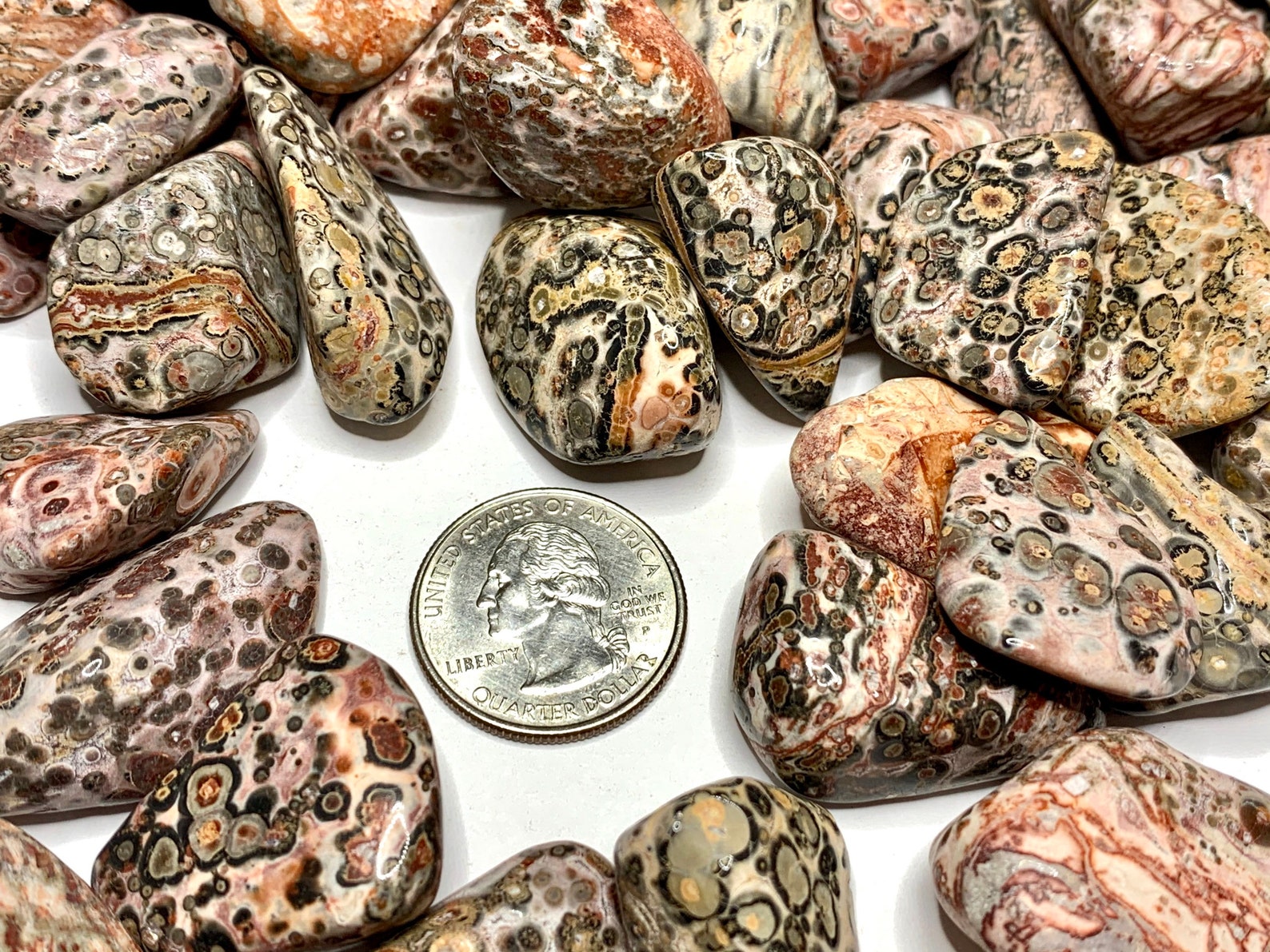 Leopardskin Jasper Tumbled Stones | Etsy