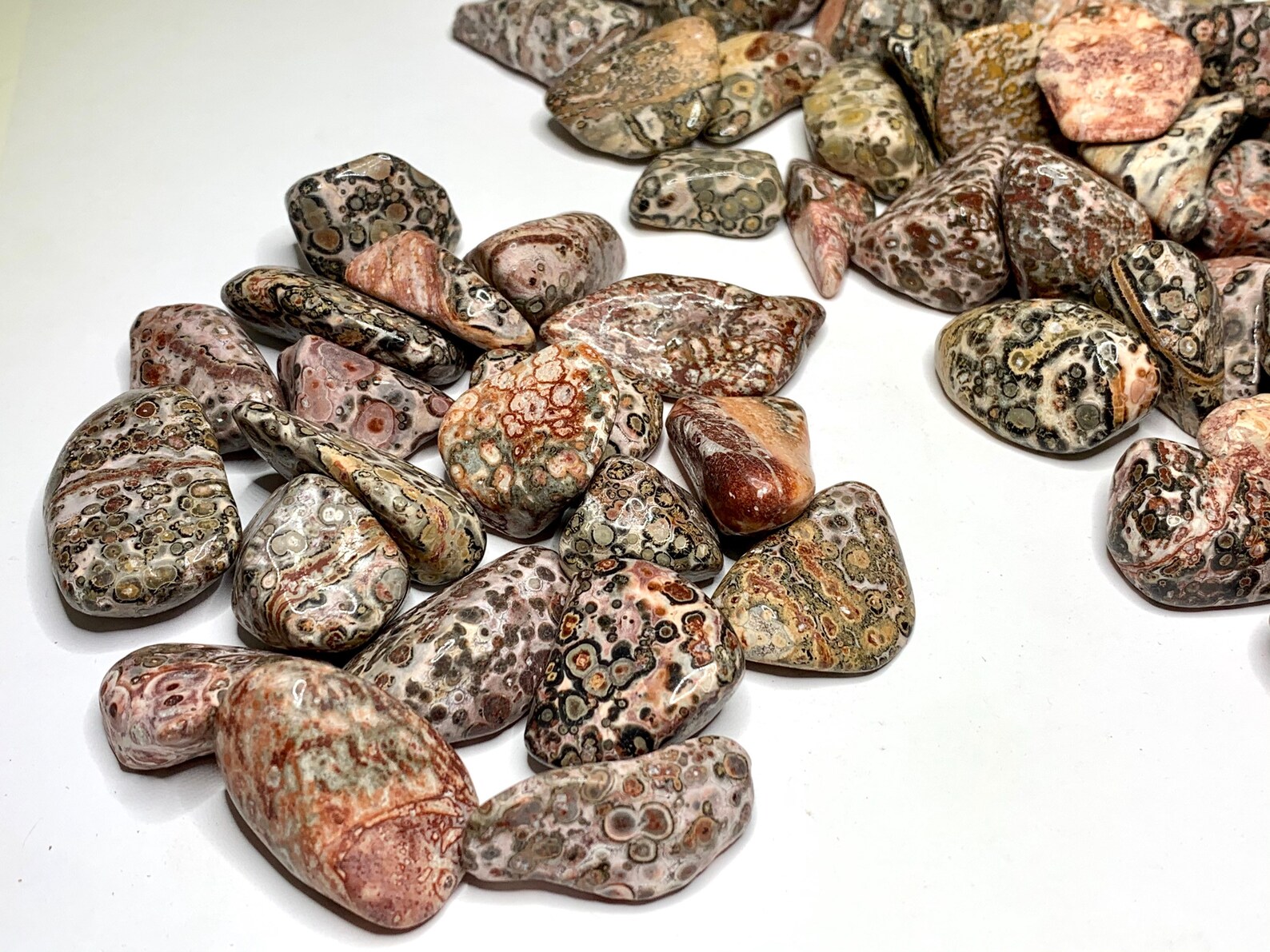 Leopardskin Jasper Tumbled Stones | Etsy