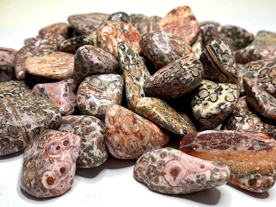 Leopardskin Jasper Tumbled Stones - Etsy
