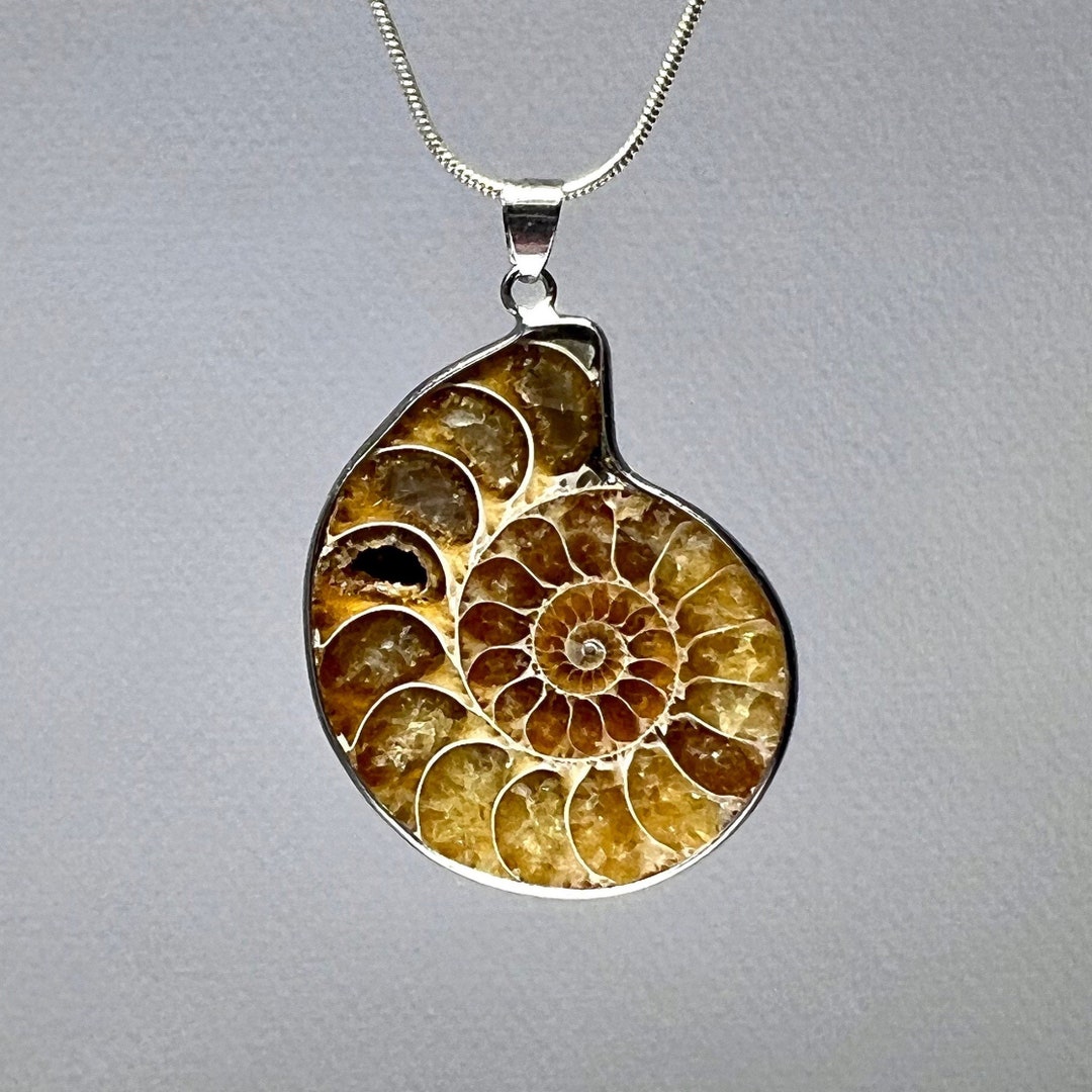 Ammonite Pendant Necklace, Ammonite Fossil Pendant With Chain - Etsy