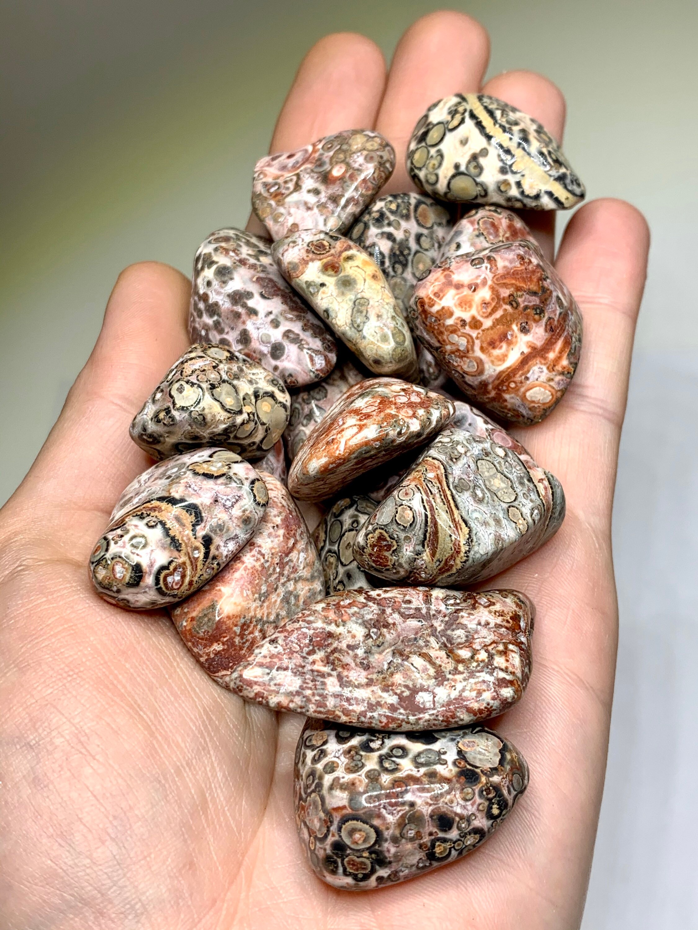 Leopardskin Jasper Tumbled Stones | Etsy