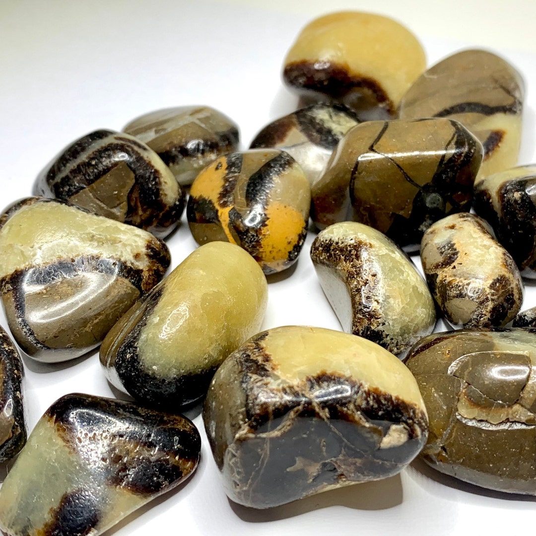 Septarian Tumbled Stones - Etsy