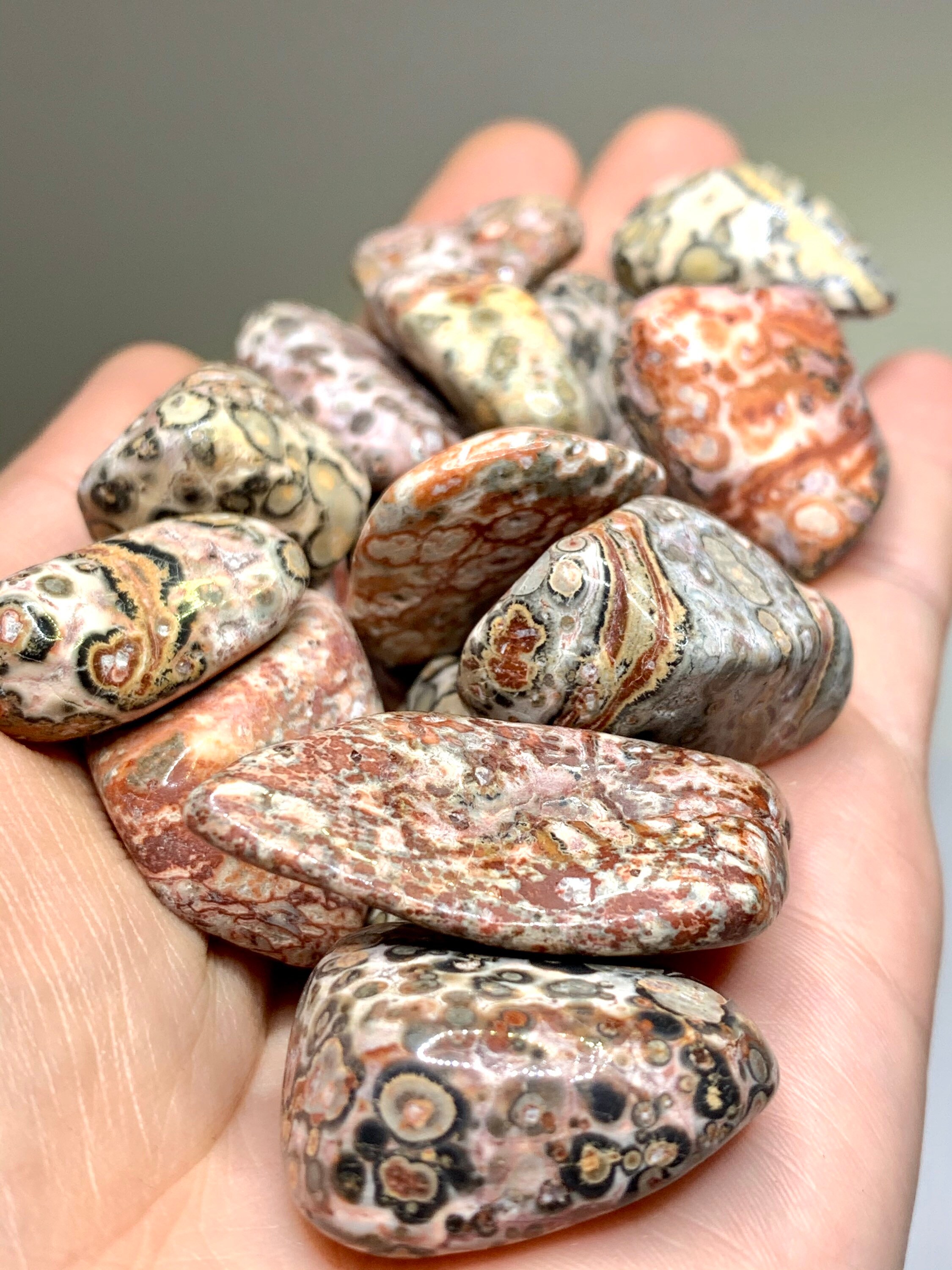 Leopardskin Jasper Tumbled Stones | Etsy