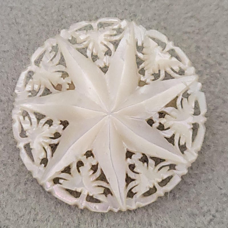 Shell Brooch - Etsy