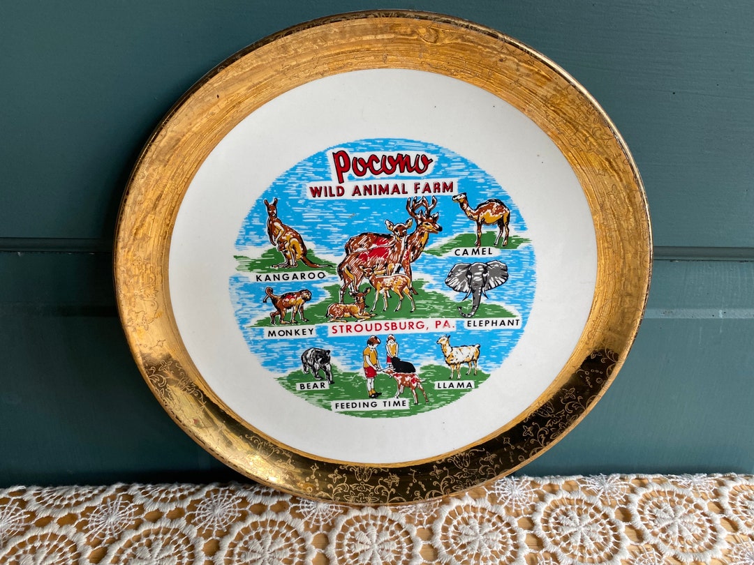 Pocono Wild Animal Farm Vintage Decorative Plate - Stroudsburg, PA ...